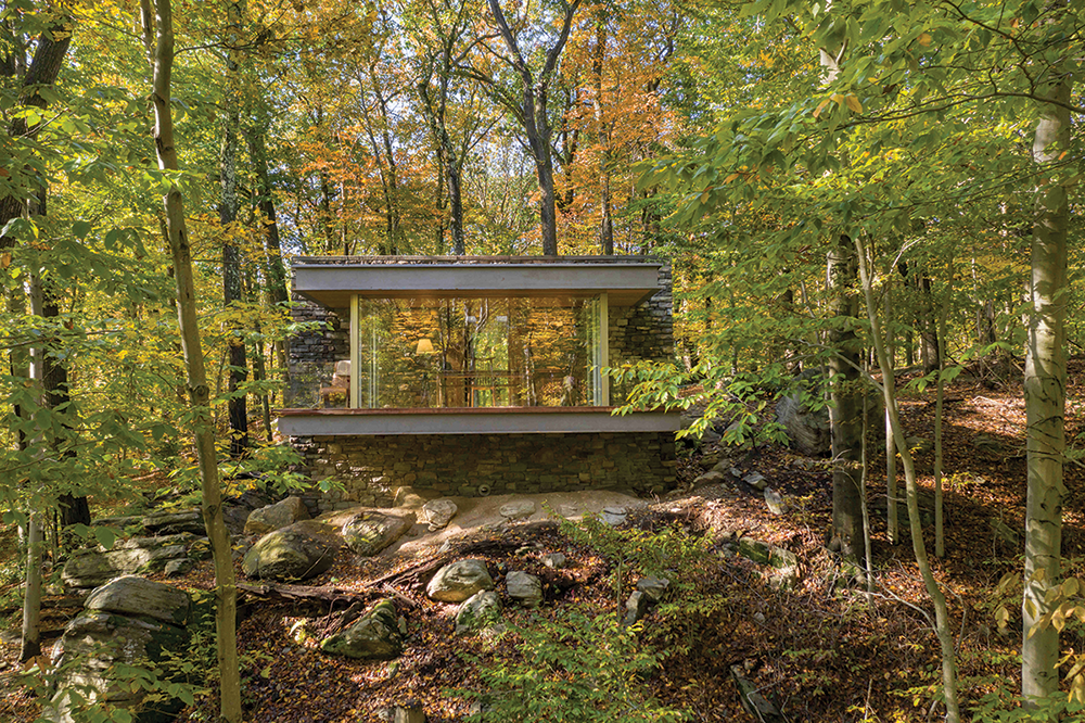 Backyard boom: How the small-space phenomenon is making a big impact
